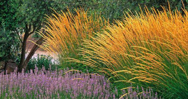 Joel Marsh Landscape Design – Joel Marsh Landscape Design