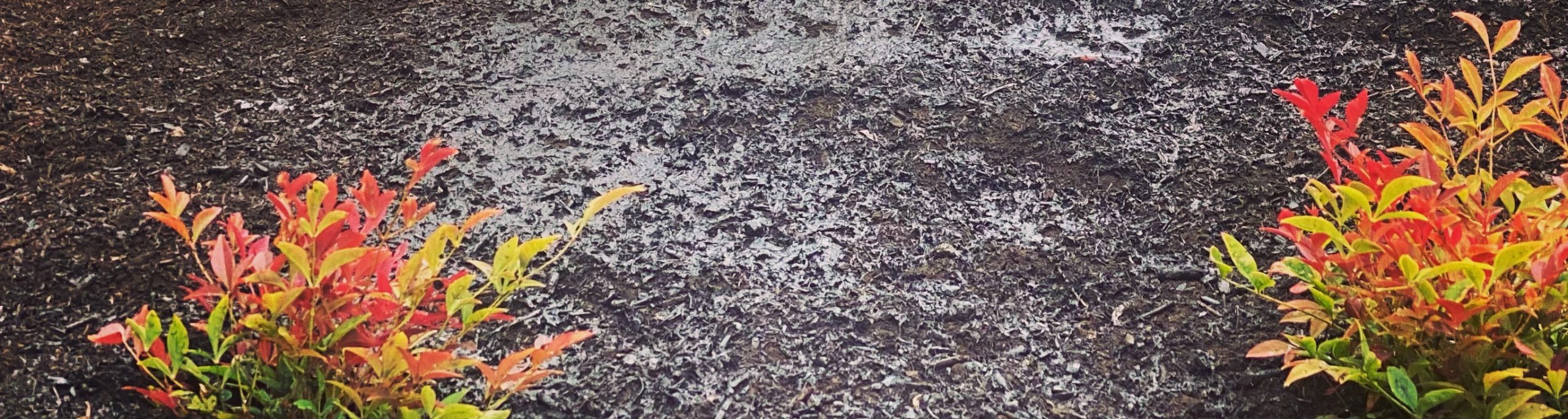 Contact US – Joel Marsh Landscape Design