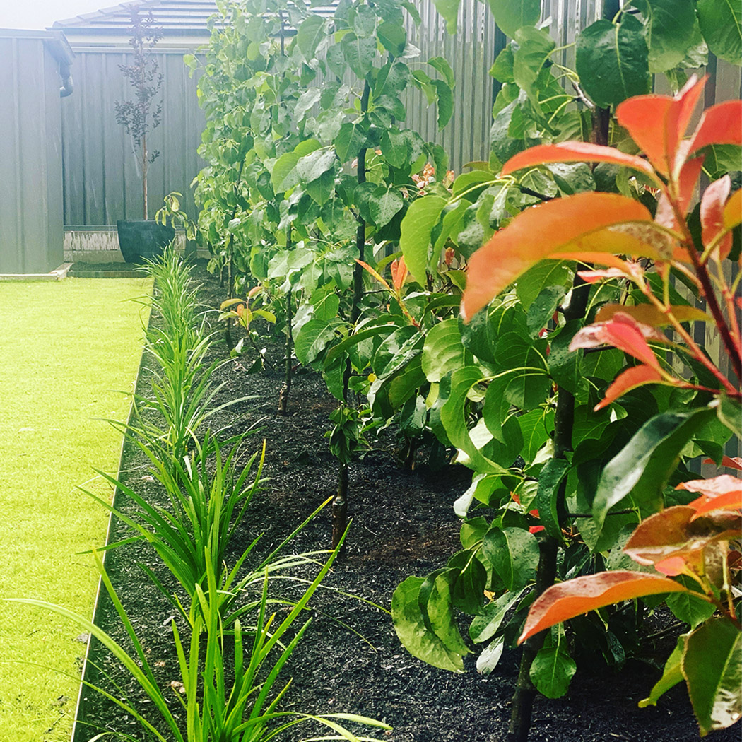 Garden Design in Adelaide - Joel Marsh Landscape Design