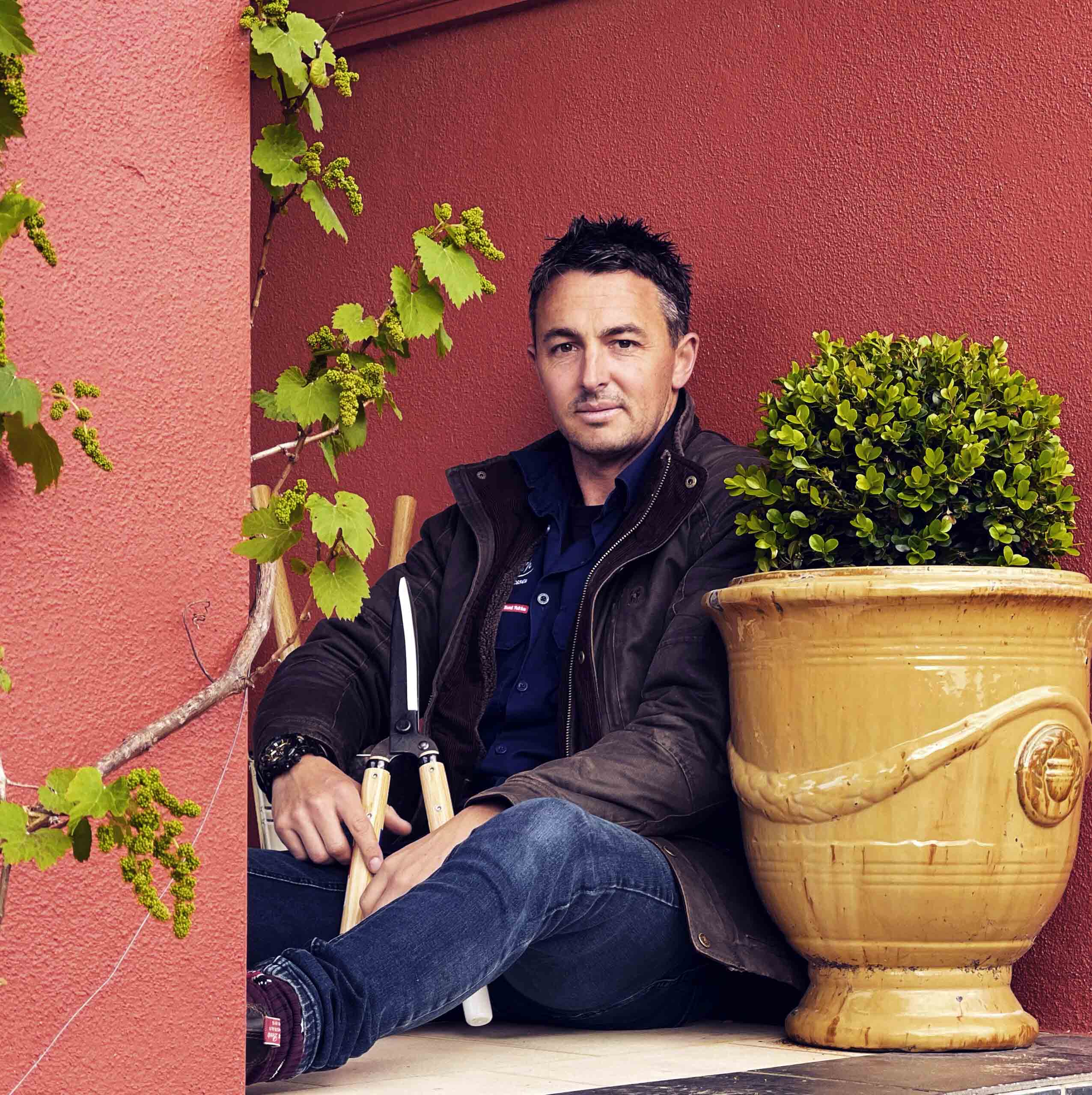 Topiary - Joel Marsh Landscape Design